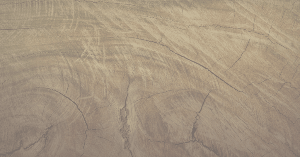 Menu - Elevated Roots