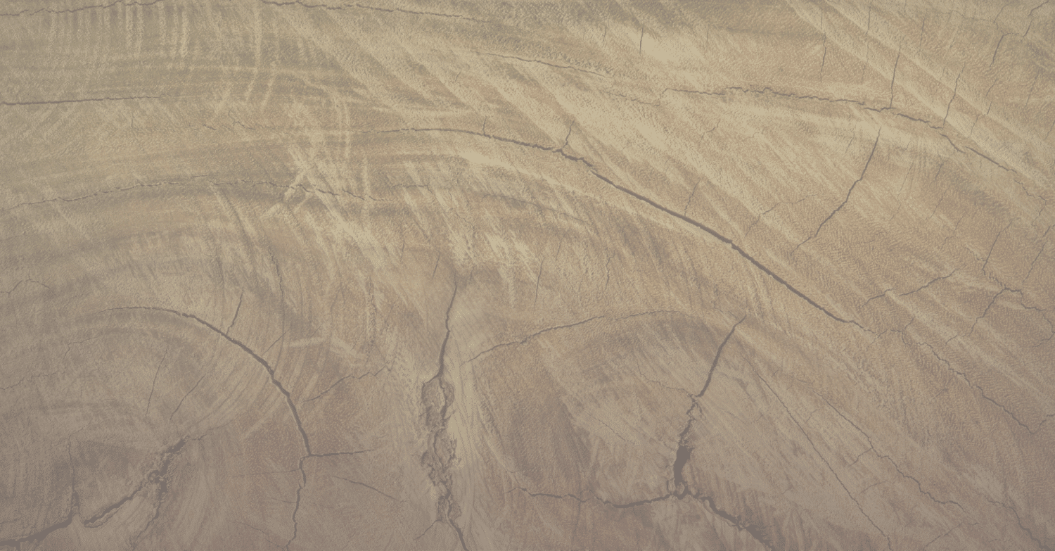 Menu - Elevated Roots