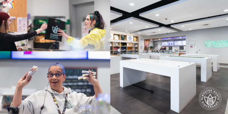 Elevated Roots Marijuana Dispensary Halifax, Kingston, MA